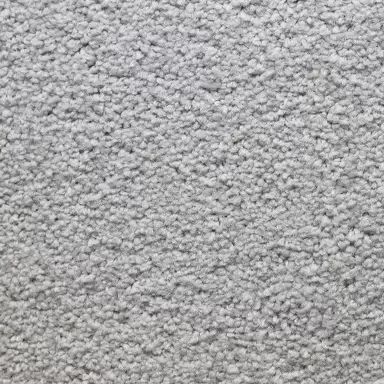 Ivory | Casa Bella | Carpet | New Zealand Made - Carpet Mill