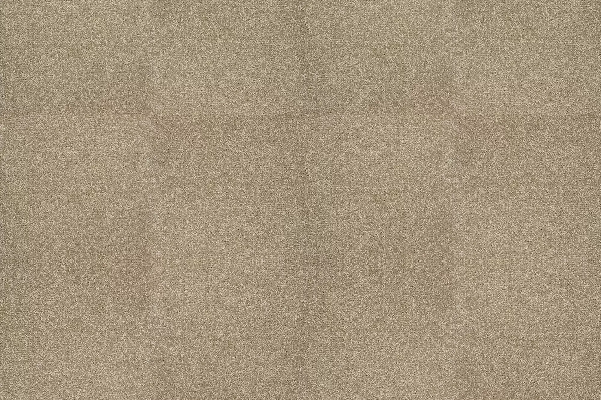 Earthy Brown | Charisma | Carpet | New Zealand Made - Carpet Mill