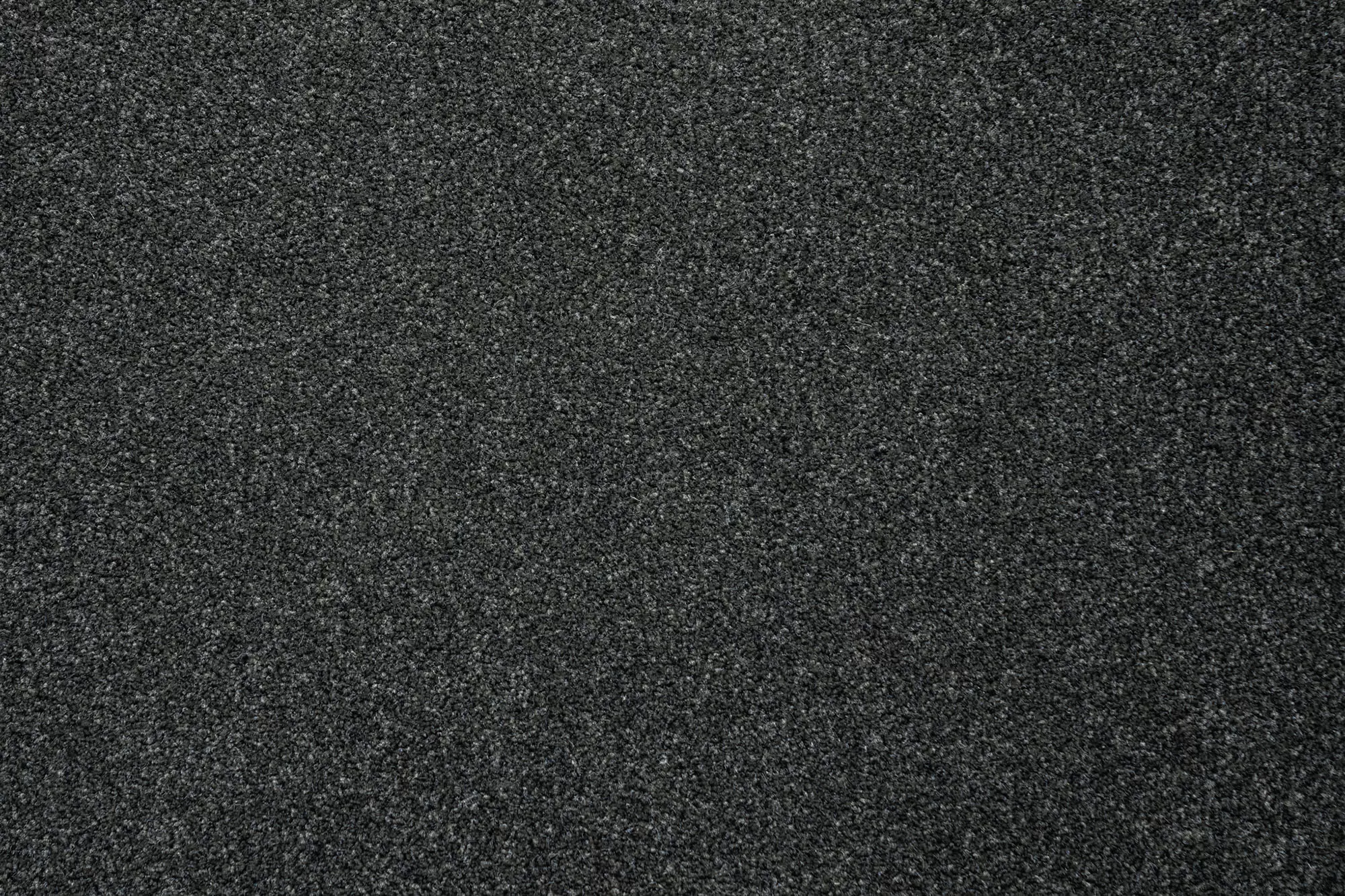 Eclipse | Valenciana | Carpet | New Zealand Made - Carpet Mill
