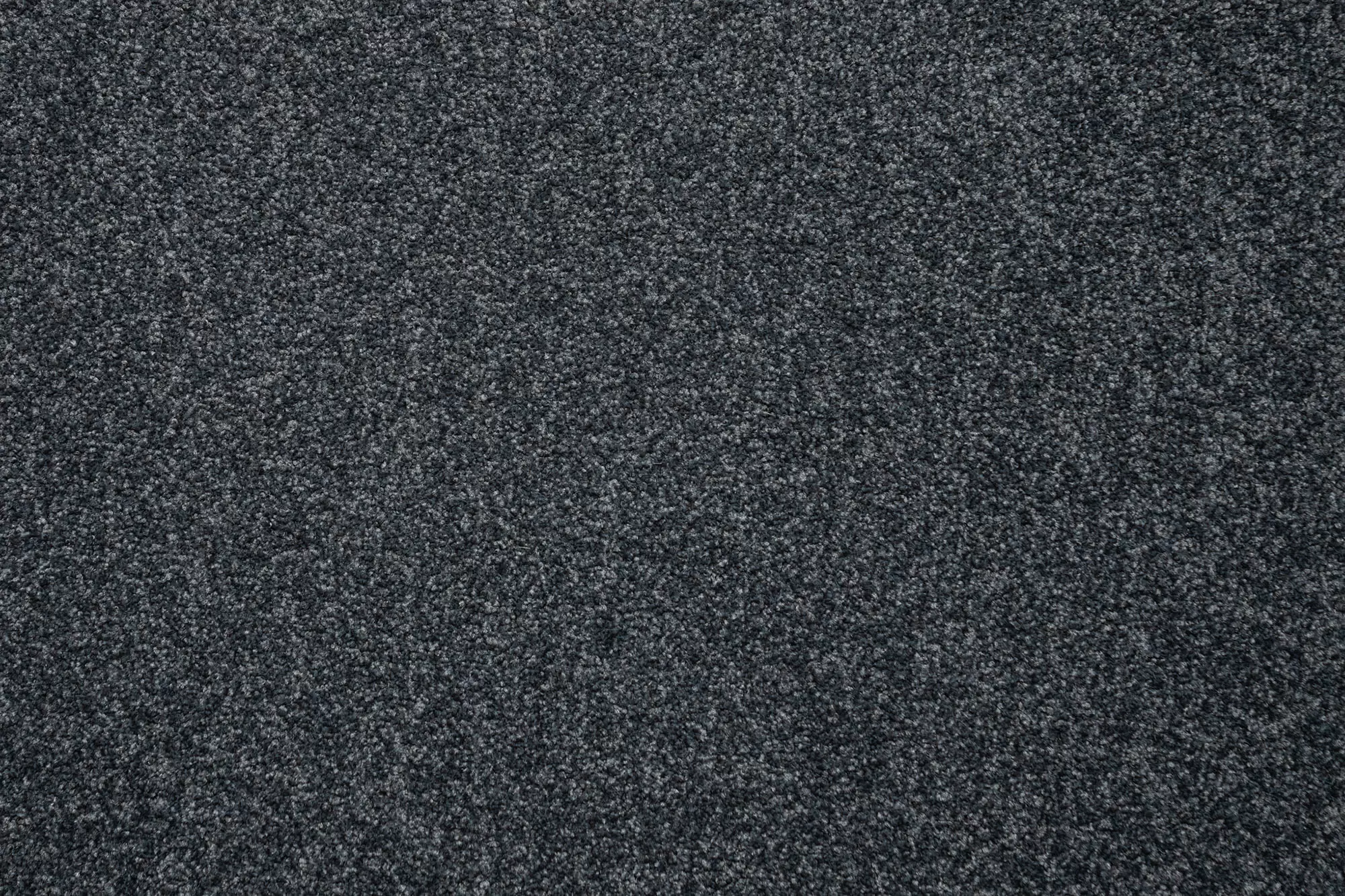 Evolution | Valenciana | Carpet | New Zealand Made - Carpet Mill