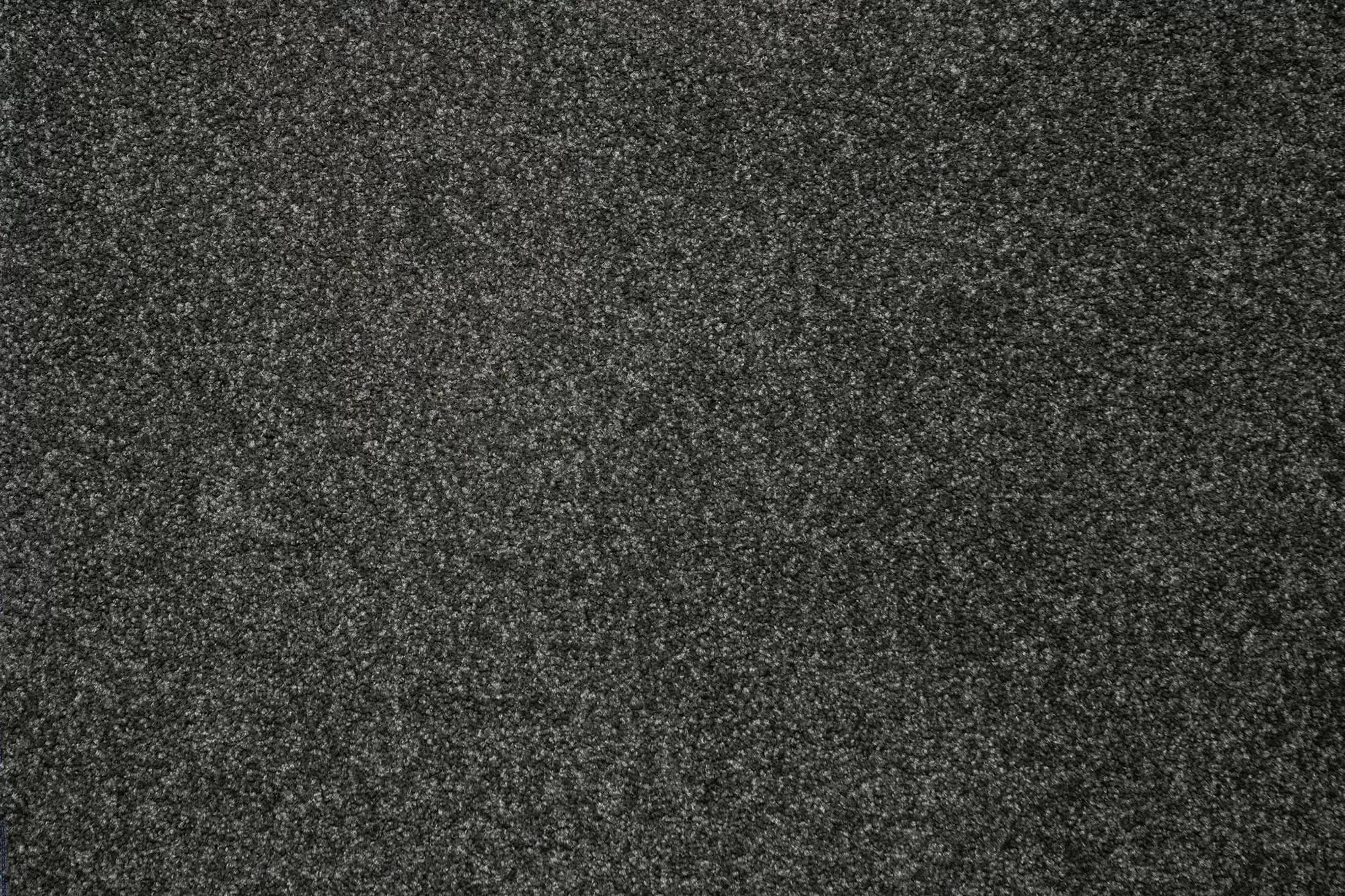 Espresso | Valenciana | Carpet | New Zealand Made - Carpet Mill