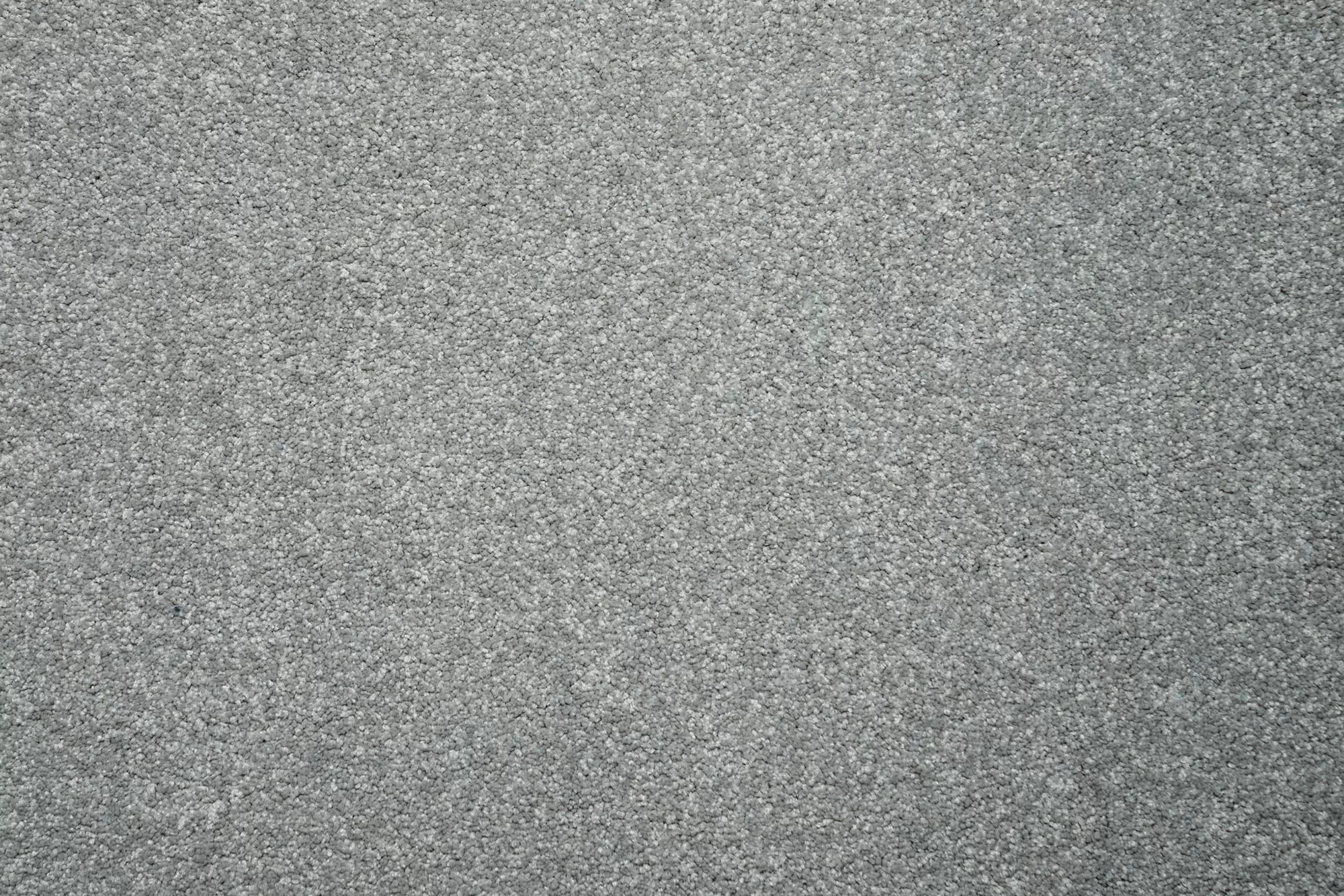 Putty | Casa Bella | Carpet | New Zealand Made - Carpet Mill