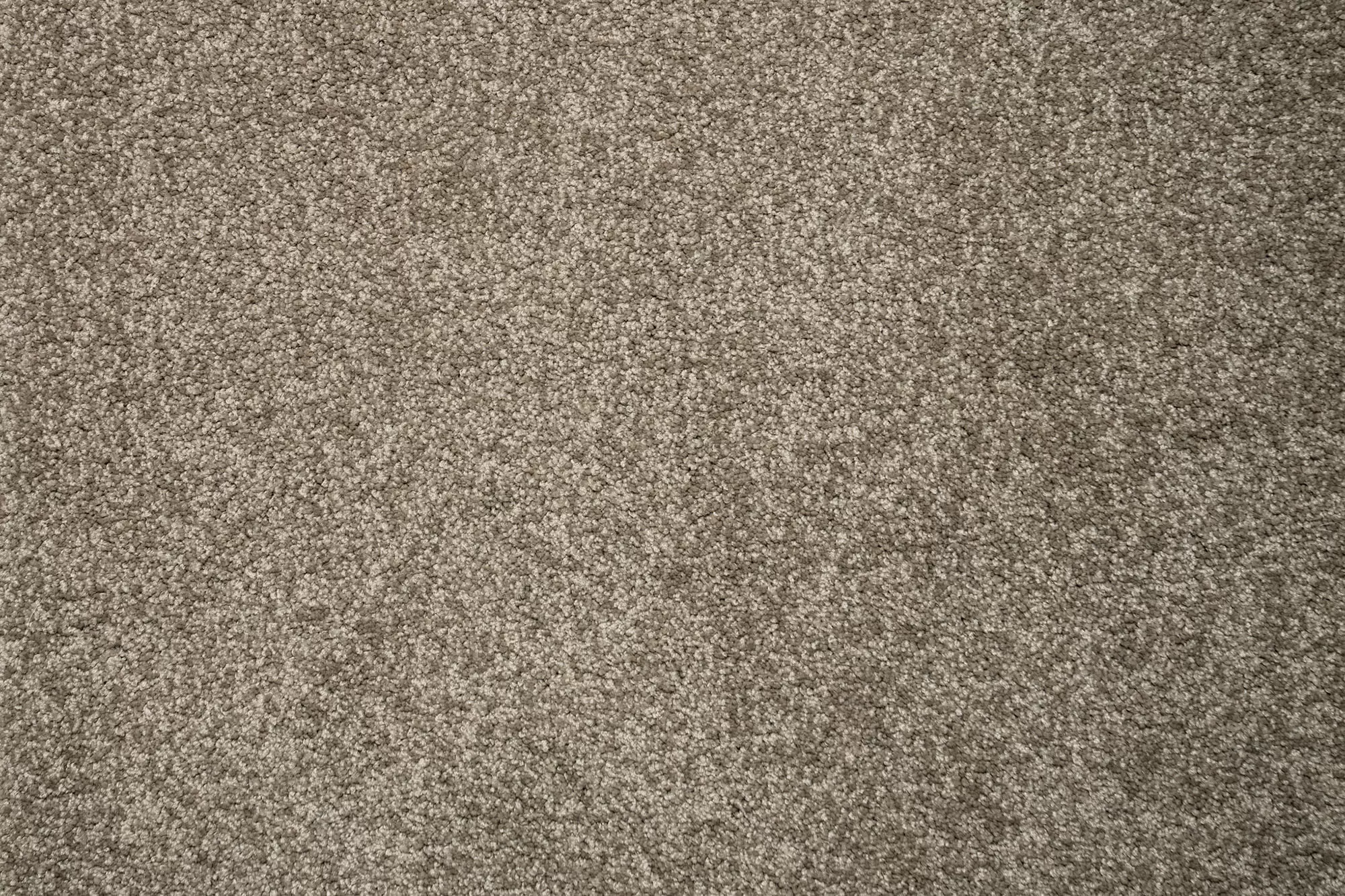 Romano | Casa Bella | Carpet | New Zealand Made - Carpet Mill