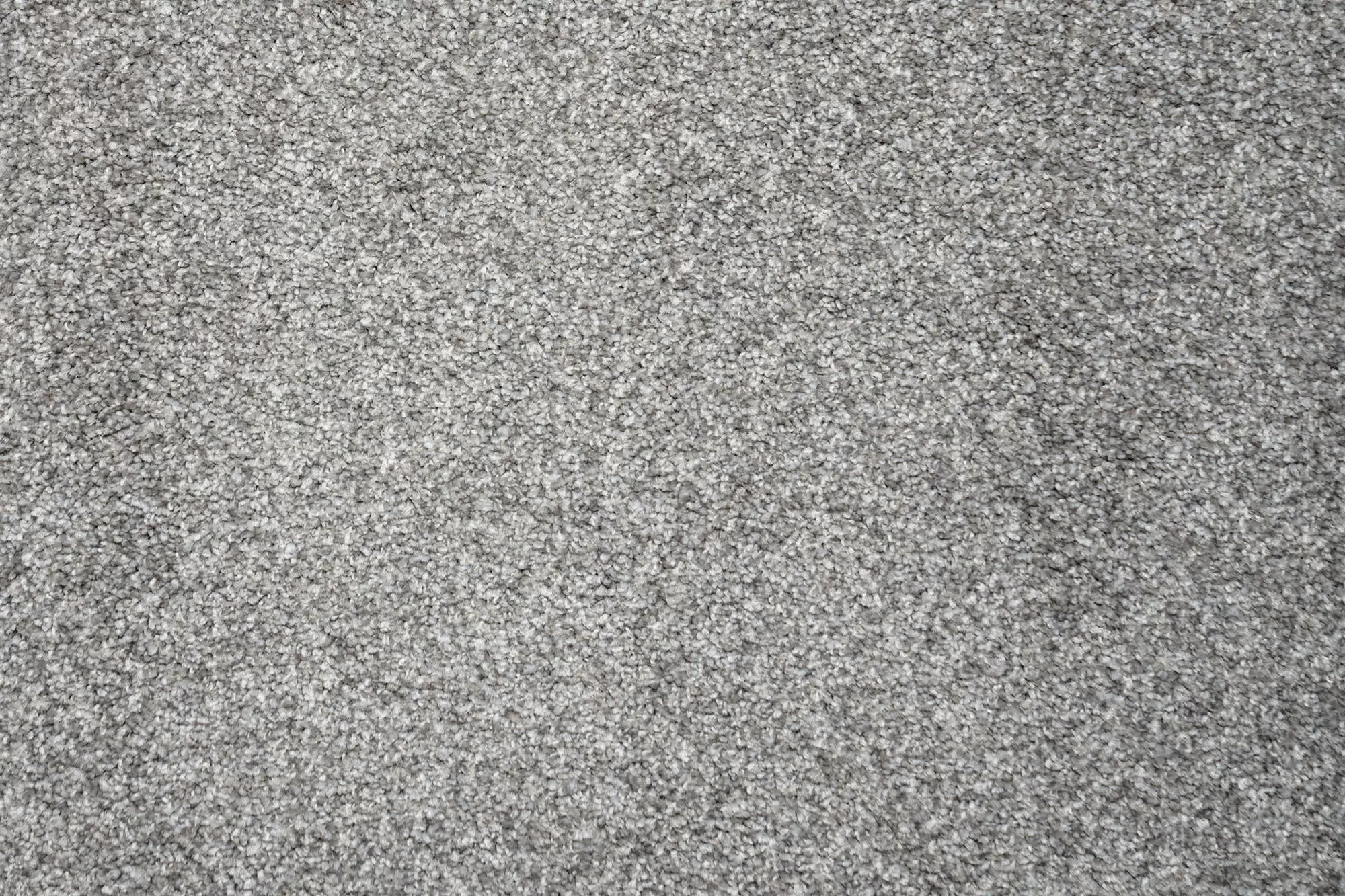 Saturn | Galaxy | Carpet | New Zealand Made - Carpet Mill